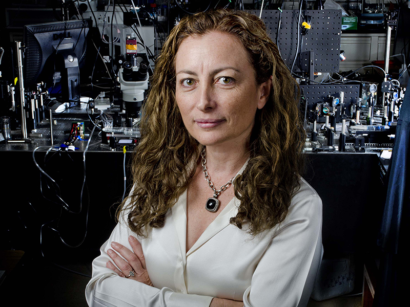 Faculty Awarded NIH Grants to Study Prevention and Treatment of ...